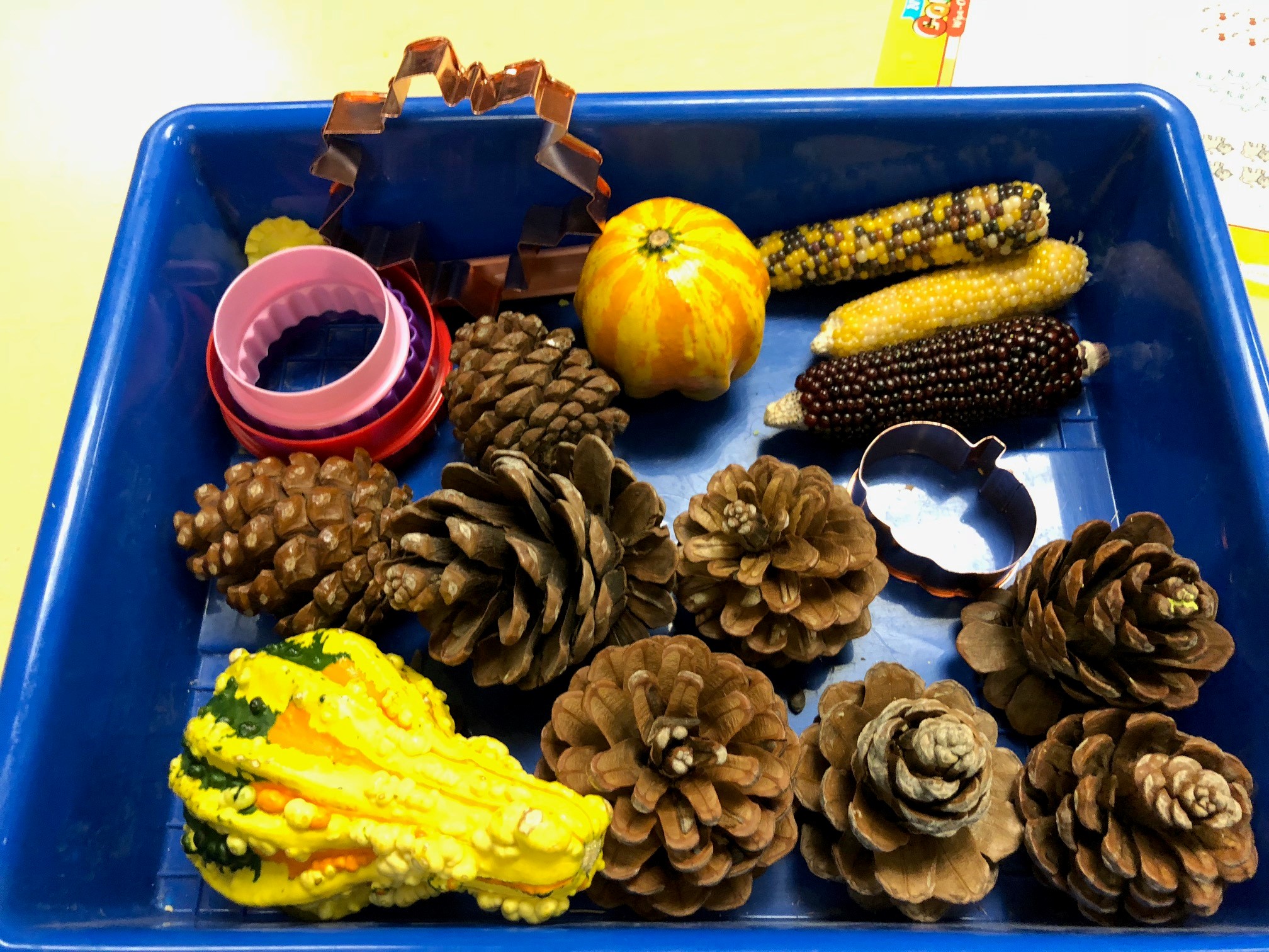 November Preschool Activities - The heart of Special Education Preschool